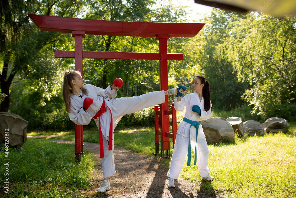Two purposeful woman fighting using karate technique kick and punch ...