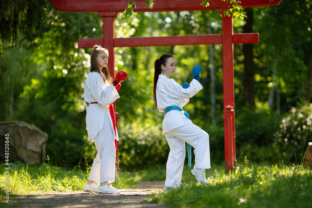 Two purposeful woman fighting using karate technique kick and punch ...
