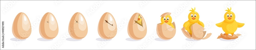 Baby chicken hatching from egg step-by-step process set. Sequence of ...