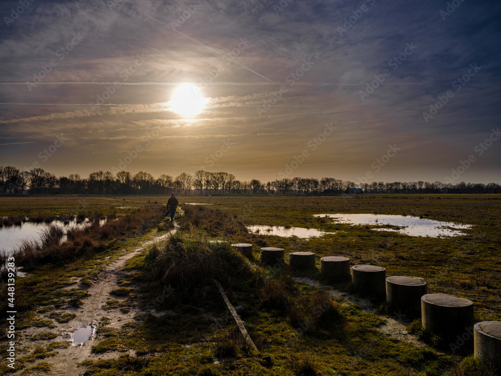 Foto de Dwingelderveld near Dwingeloo and Ruinen, Drenthe Province, The ...