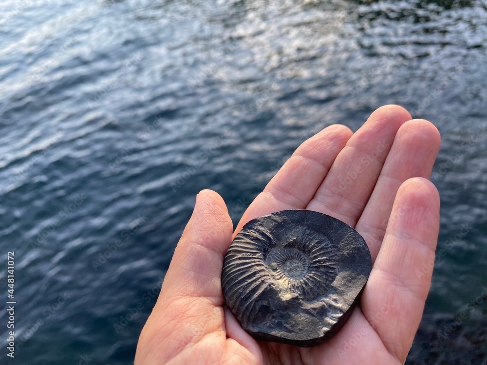 Hand holding stone. Shaligram is sacred stone found in Gandaki river in ...