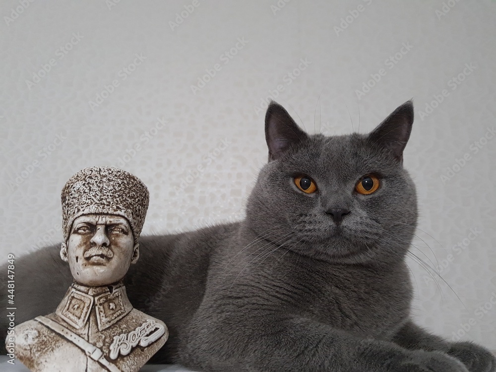 Cat next to Mustafa Kemal Atatürk Stock Photo | Adobe Stock