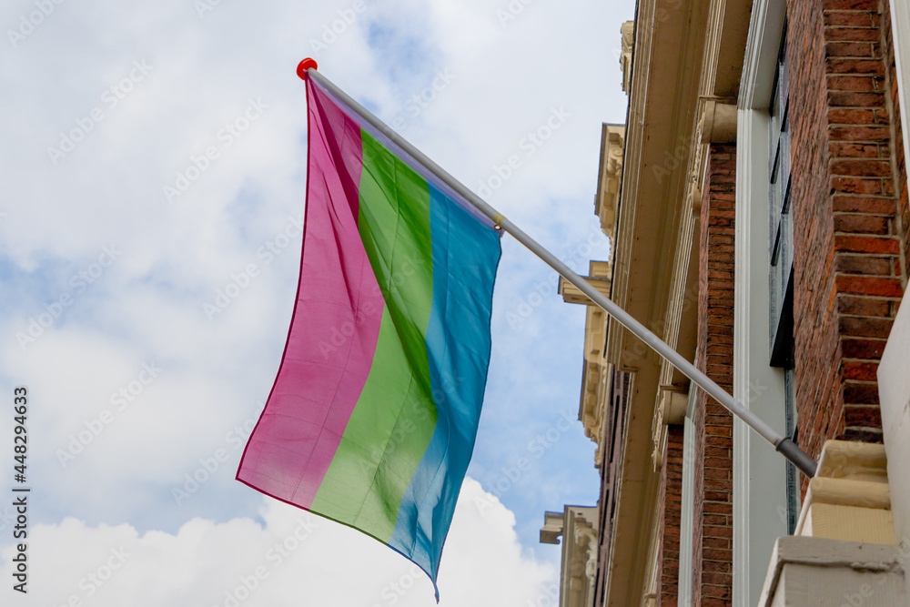 Celebrate of 20th years same-sex marriages in Holland, Polysexual flag ...