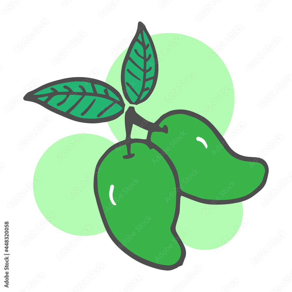 green mango illustration with circle green color. hand drawn vector ...