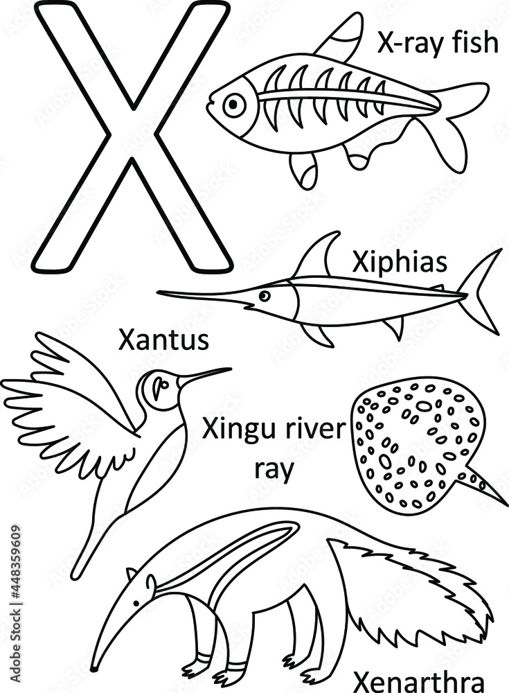 X animals names, Alphabet coloring for kids, Alphabet animals coloring ...