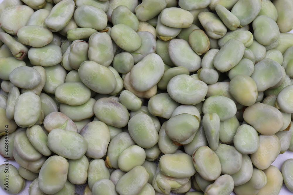 Hintergrund Ackerbohnen. Pferdebohnen. Saubohnen. Stock Photo | Adobe Stock