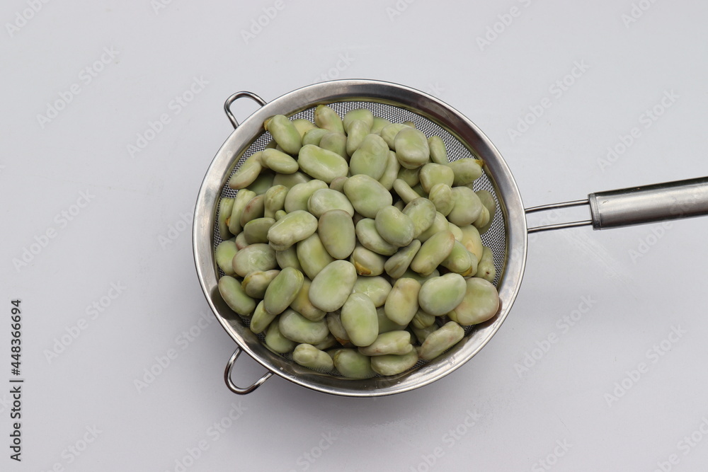 Ackerbohnen. Pferdebohnen. Saubohnen. Stock Photo | Adobe Stock