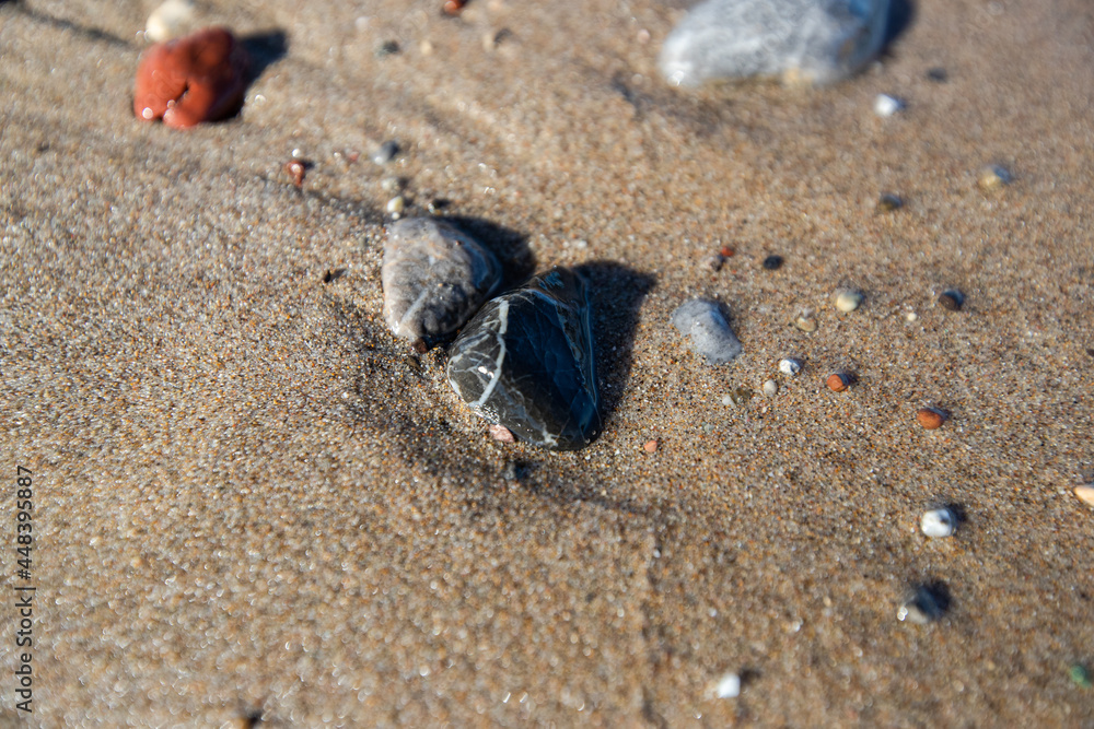 Stones on the beach in sand and water Stock Photo | Adobe Stock