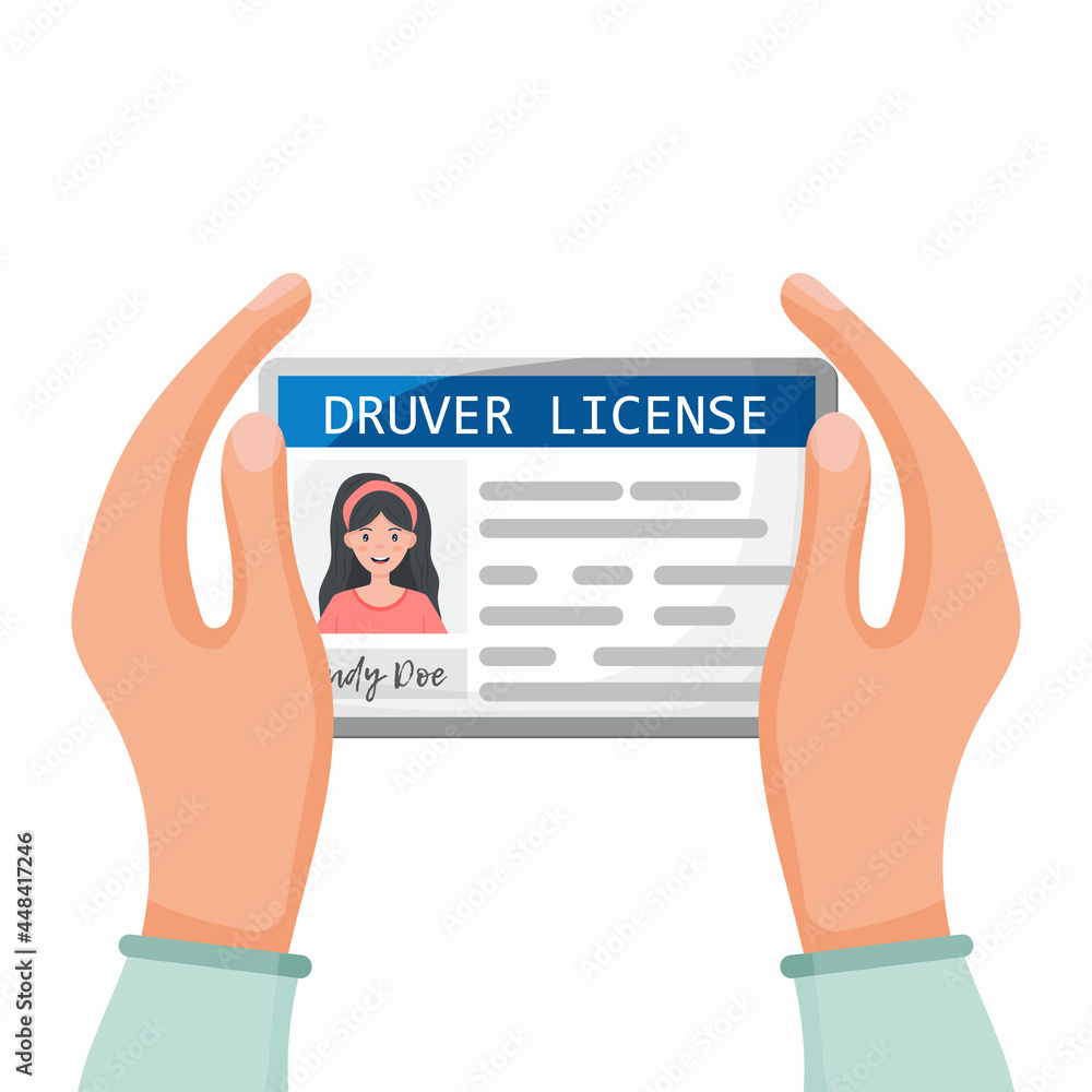 Hands are holding a driver's license. Photo ID. Vector illustration in ...