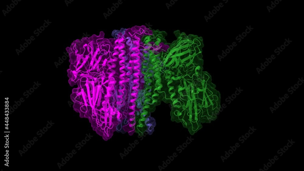Crystal structure of Bacillus thuringiensis Cry5B nematocidal toxin ...