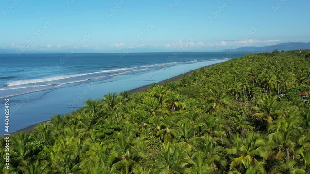 Zancudo long narrow peninsula aerial overview of palm trees and black ...