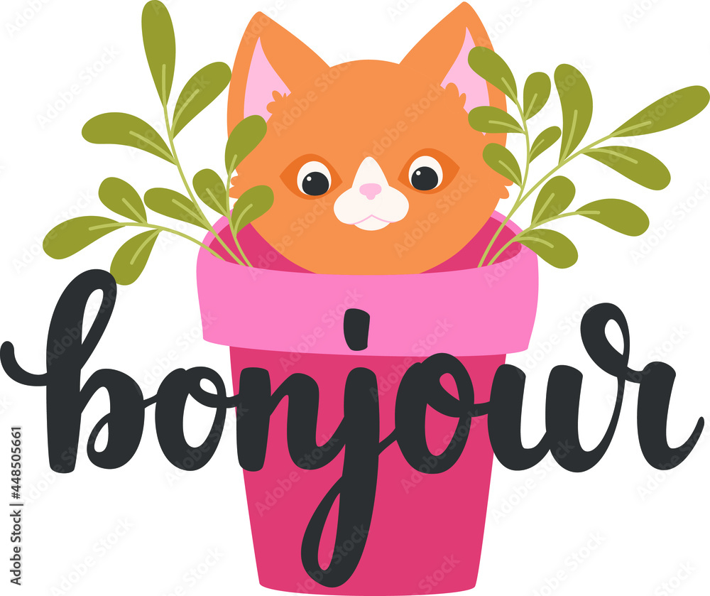 "Bonjour" French hand written lettering with cute kitten sitting in a ...