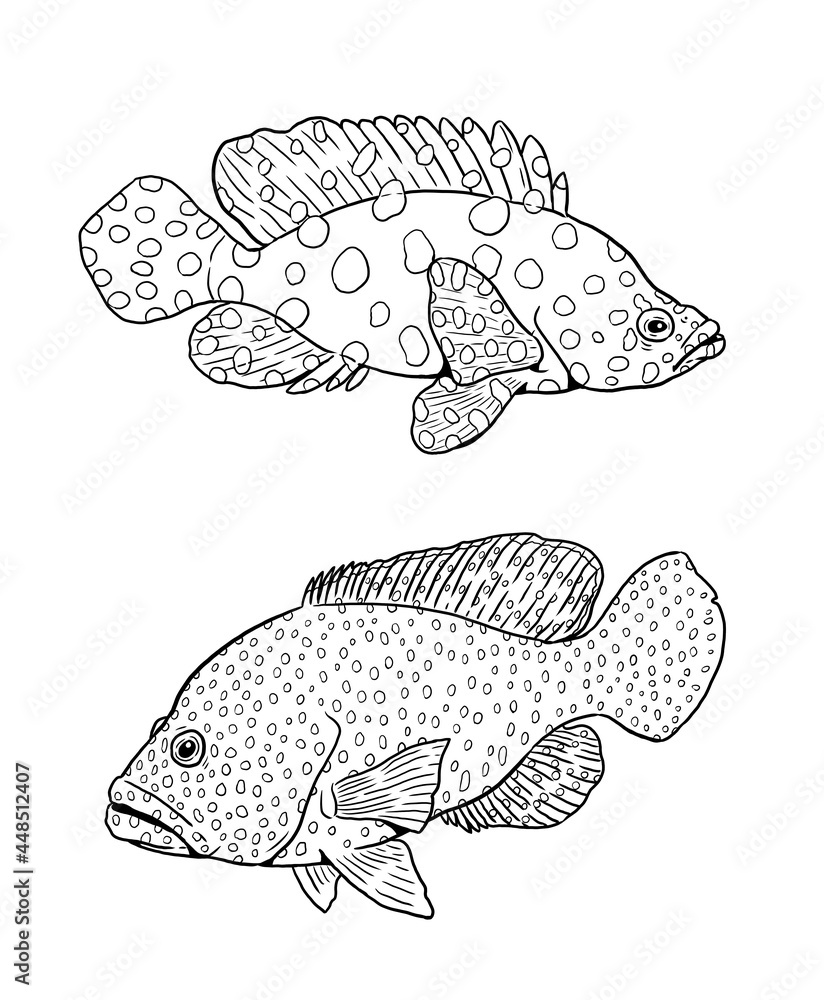 Tropical marine fishes in the aquarium and in nature. Colorful sea fish ...