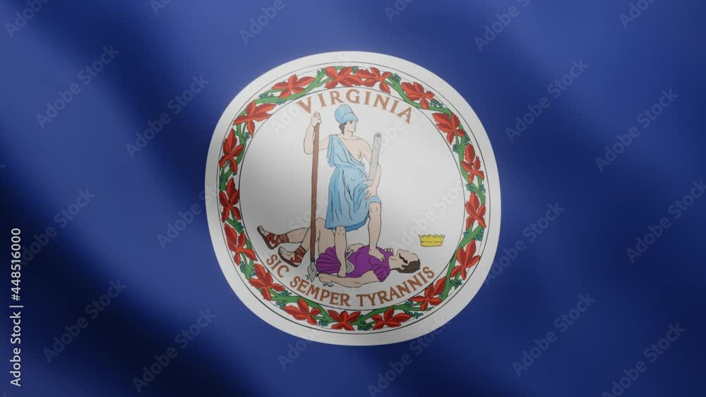 3D realistic flag of the State Virginia is fluttering in the breeze ...
