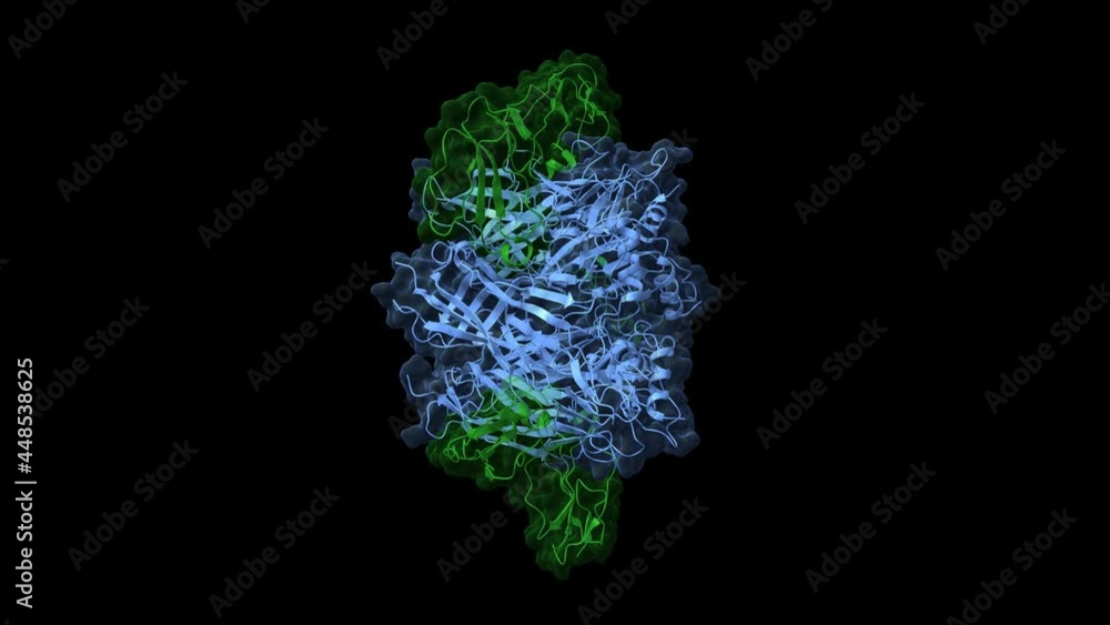 Crystal structure of the a-cobratoxin (green)-AChBP (blue) complex ...
