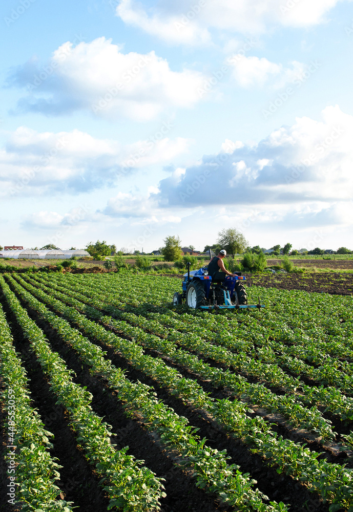 A farmer on a tractor cultivates a field. Agroindustry and agribusiness ...