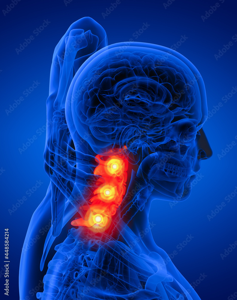 3d render medical illustration of the cervical spine Stock Illustration ...