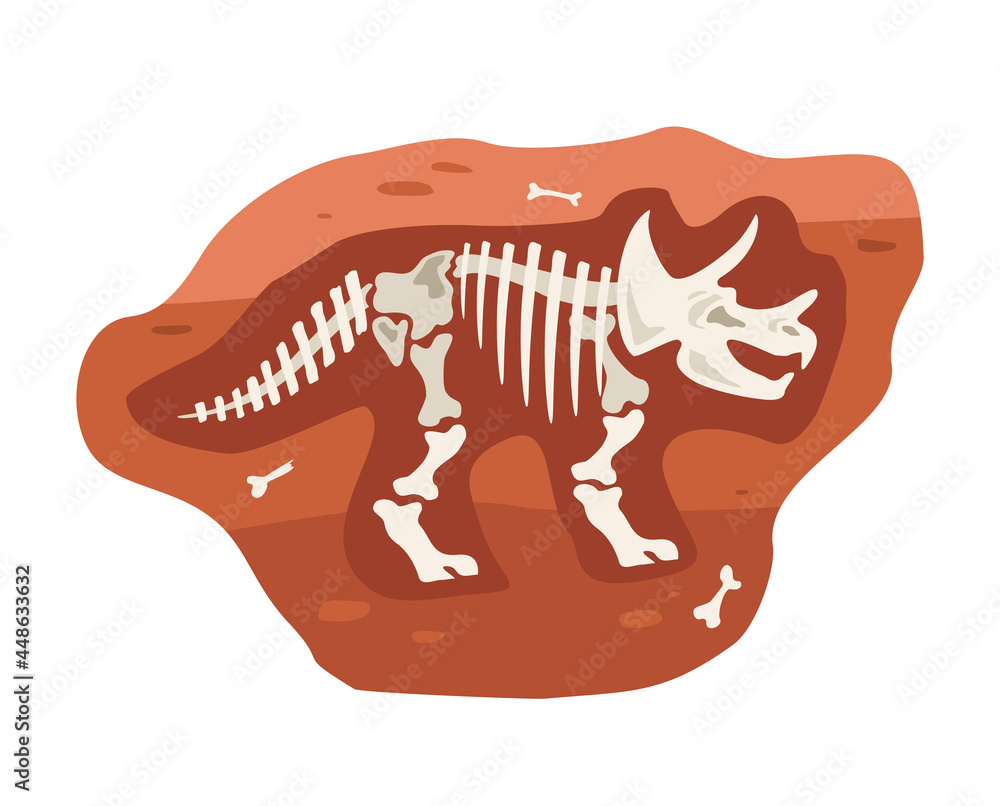 Excavation soil with bones skeleton fossil prehistoric ancient dinosaur ...