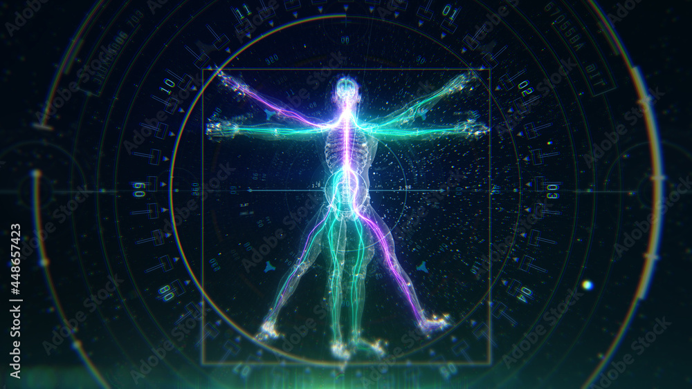 3D Futuristic Animation of Leonardo Da Vinci Vitruvian Man. Anatomy of ...