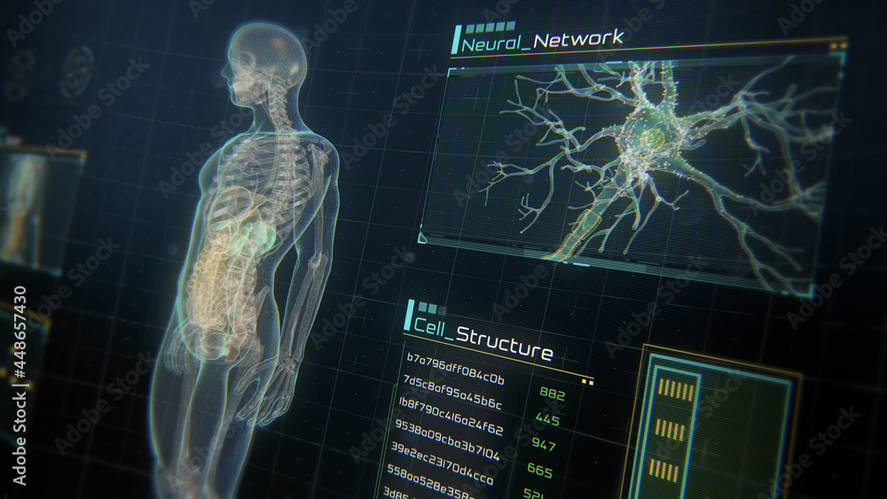 Close Up perspective view of Human Male Anatomy Scan on Futuristic ...