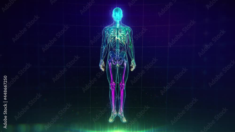 Colorful Human Body animation with flares and particles showing veins ...