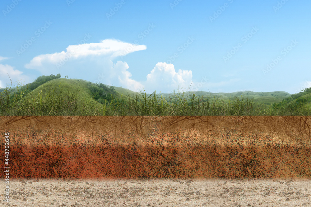 Underground soil layer of cross-section earth with grass on the top ...