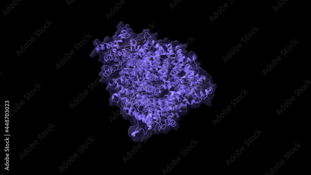 Cryo-EM structure of the full-length disease type human huntingtin, 3D ...