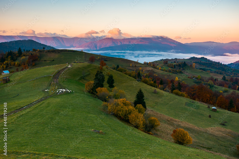 mountainous countryside in autumn at sunrise. beautiful scenery with ...