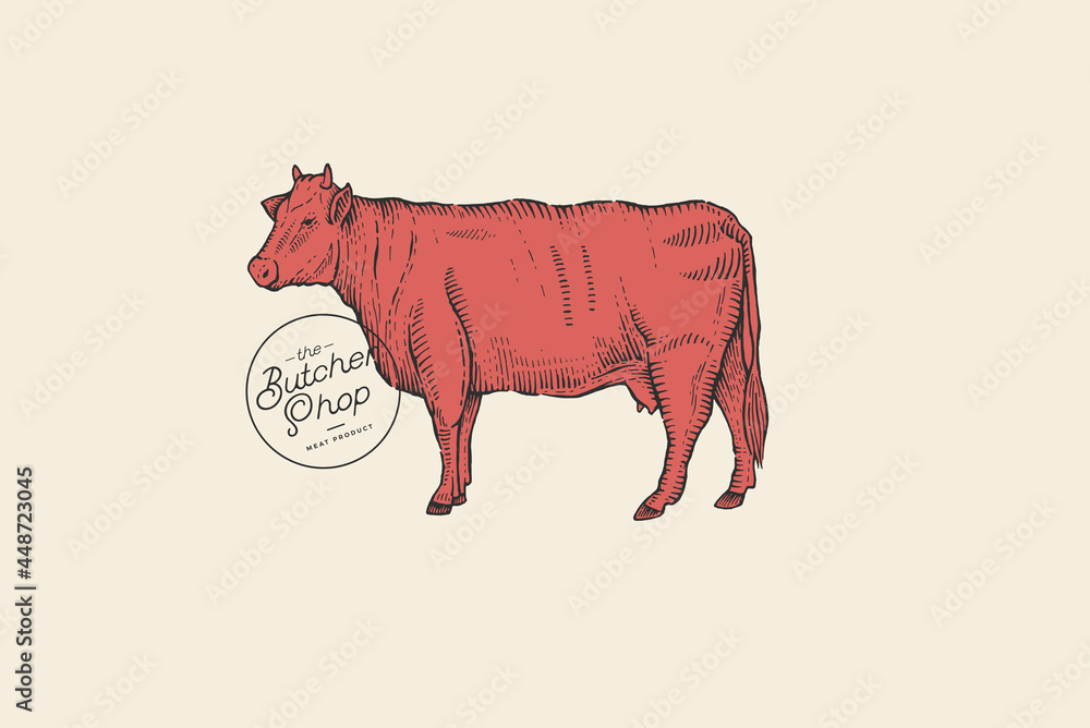 Hand-drawn red cow on a light background. Advertising of dairy and meat ...