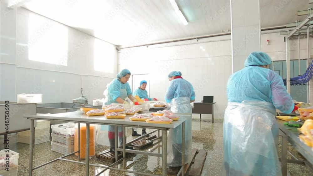Chicken meat production line . Food processing factory . Chicken meat ...