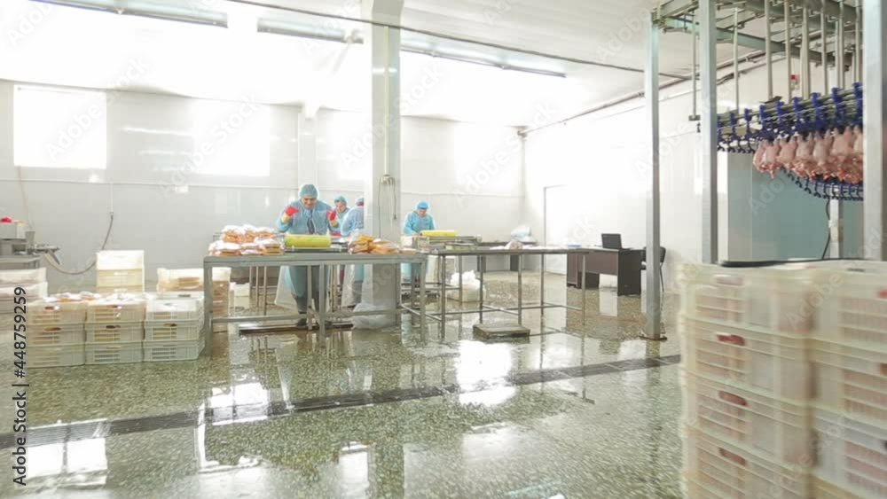 Chicken meat production line . Food processing factory . Chicken meat ...