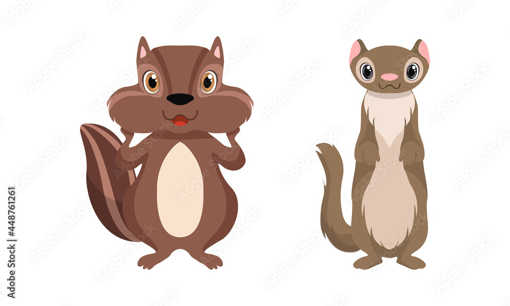 Cute Woodland Animals with Chipmunk and Stoat Vector Set Stock Vector ...