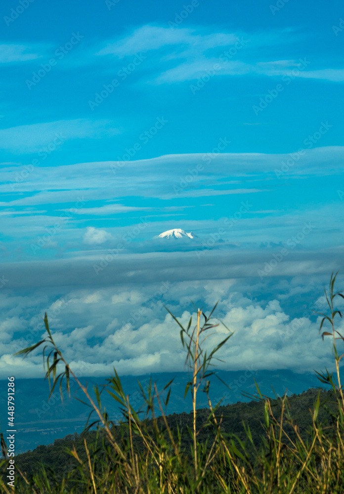 Landscape of National Park Los Nevados, with a view of the Nevado del ...