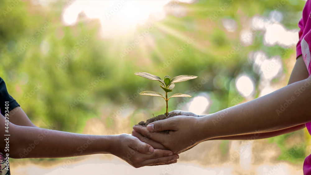 Two human hands are planting saplings or trees in the soil with Earth ...