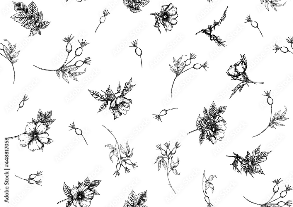 Rose hips with flowers and berries seamless pattern. Graphic drawing ...