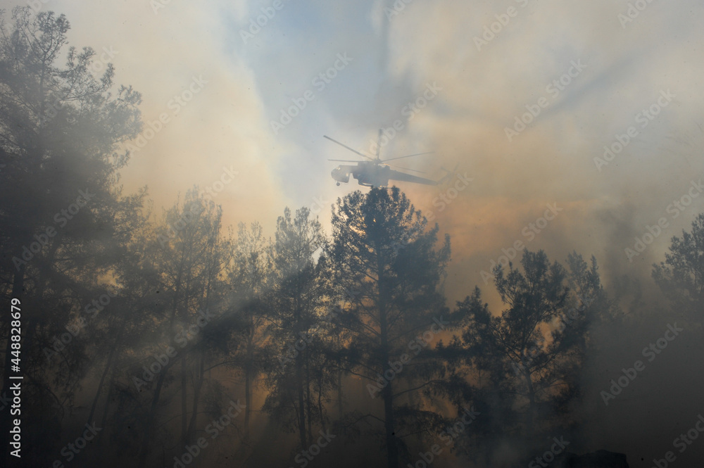 WILD FIRES IN RODOS ISLAND Stock Photo | Adobe Stock
