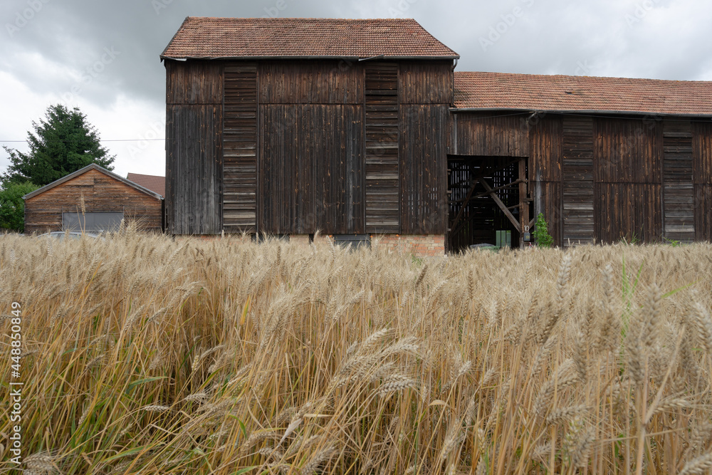 Tabakschuppen zum Trocknen von Tabak in der Pfalz Stock Photo | Adobe Stock