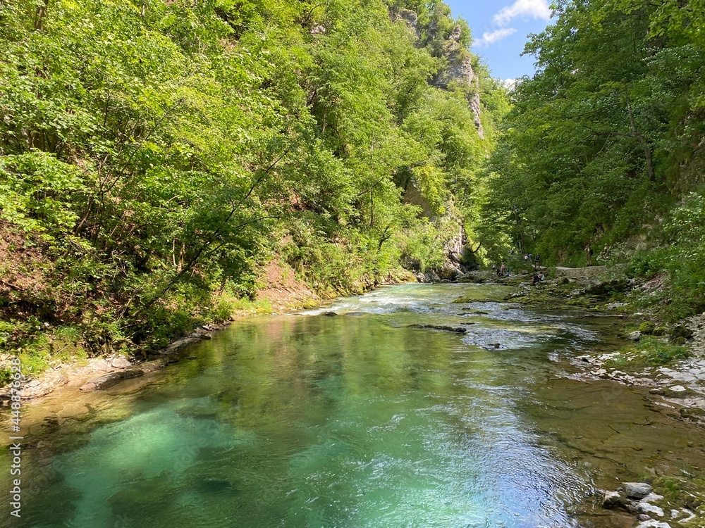Mountain river Radovna in the Vintgar Gorge or Bled Gorge - Bled ...