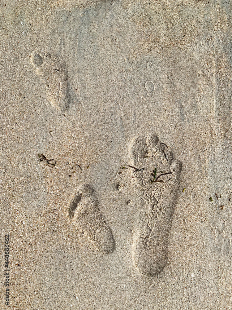 small child footprint on sand with big adult footprint Stock Photo ...
