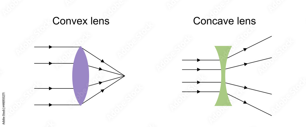 Vector illustration of convex and concave which converge and diverge ...