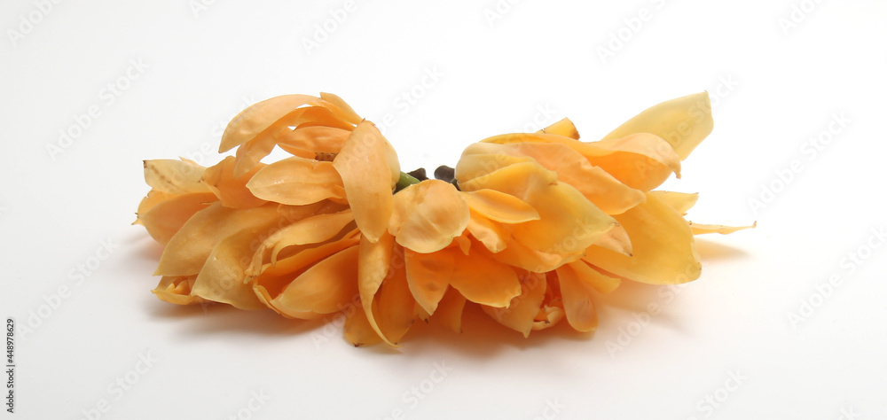 Foto de Michelia Son Champaca chafa stack on each other, Marathi ...