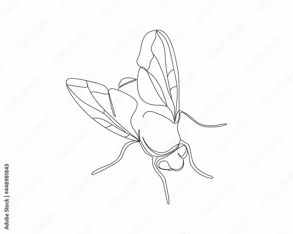 Continuous one line drawing of fly in silhouette on a white background ...