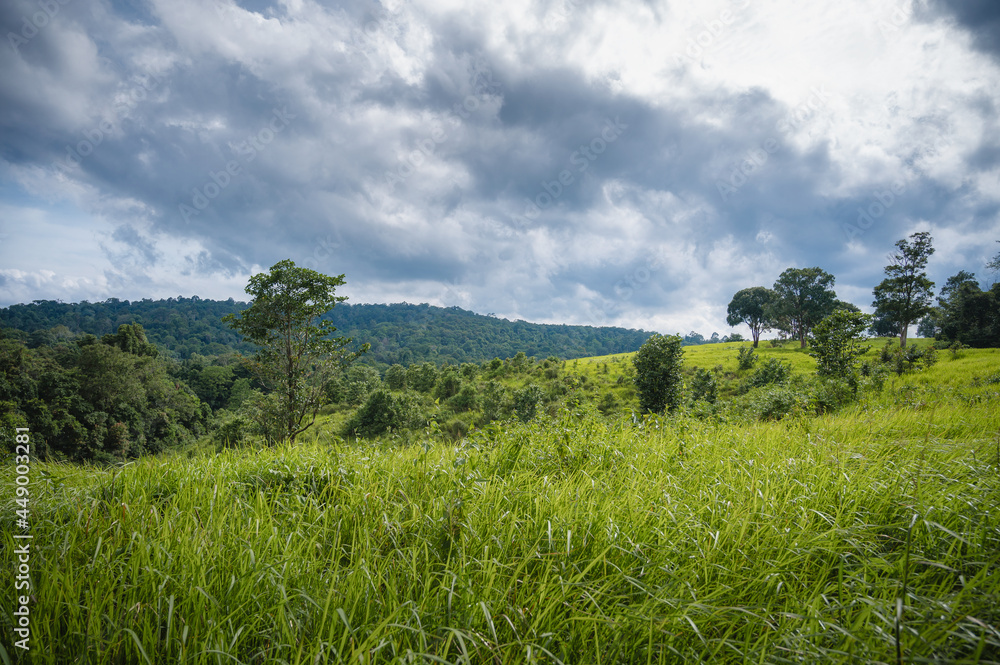 Green meadow and mountains of tropical forest in Khao Yai National Park ...