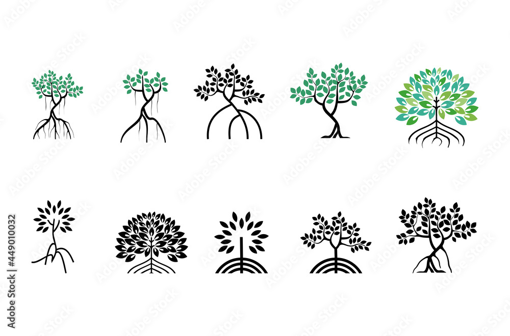 Vetor de Various of mangroves tree, mangrove icon vector collections do ...