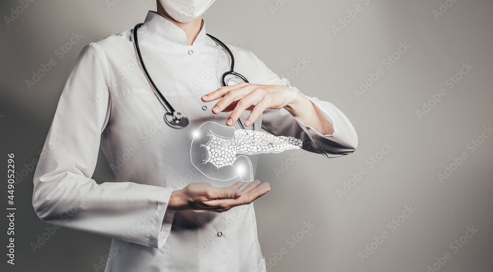 Unrecognizable doctor holding highlighted handrawn Pancreas in hands ...