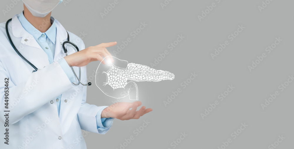 Unrecognizable doctor holding highlighted handrawn Pancreas in hands ...