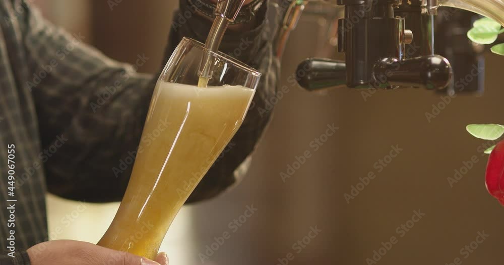 Pouring cold beer into glass. Bartender pouring craft beer in the bar ...