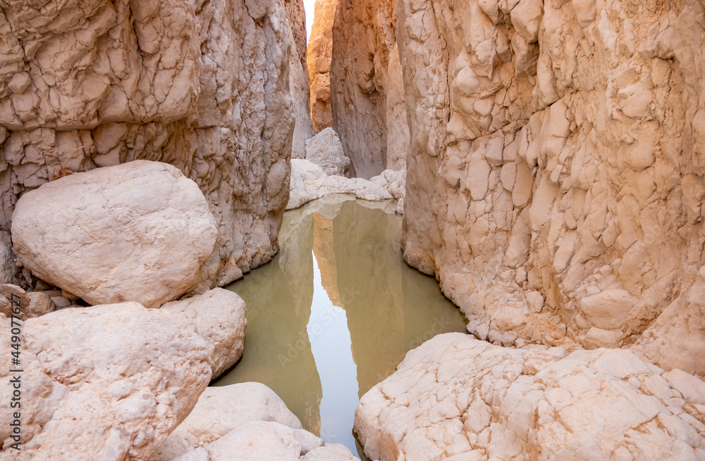 Water pools created by heavy rain in dry wadi Ashalim, the nature ...