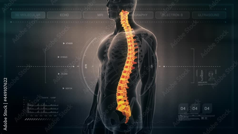 Anatomy of Human Male Spinal Cord on Futuristic Medical Interface ...