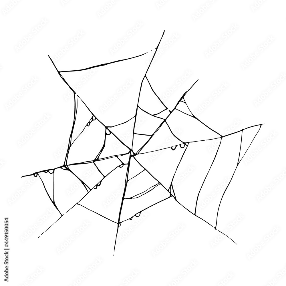 Halloween cobweb with drops of water. Black and white doodle linear ...